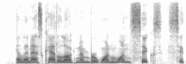 ML116628 - Croaking catfish - Macaulay Library