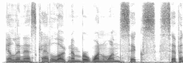 ML116793 - Croaking catfish - Macaulay Library