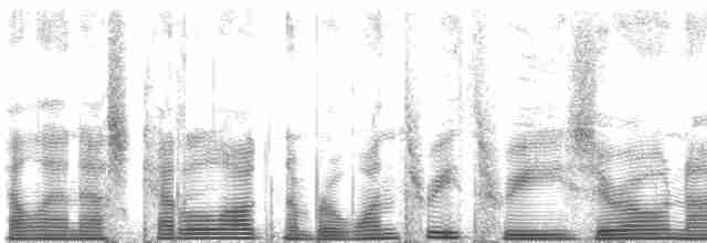 ML133092 - Black-capped Chickadee - Macaulay Library