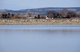 Illustrated Checklist - Totten Reservoir, Montezuma County, CO, US ...