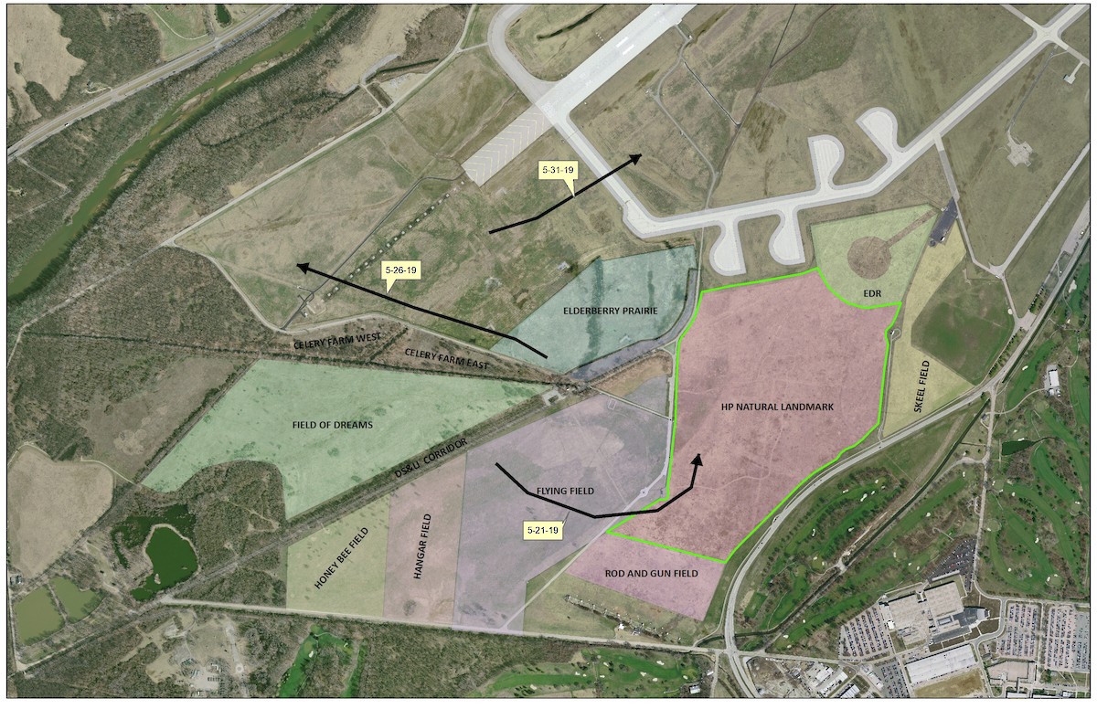 eBird Checklist - 31 May 2019 - Huffman Prairie Flying Field - 1 species