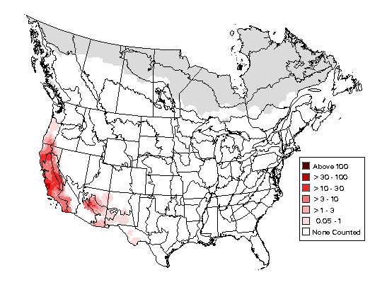 Acorn Woodpecker Range