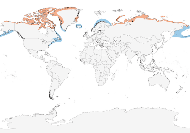 King Eider Range Map