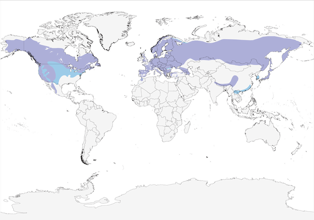 Northern Goshawk Habitat Map