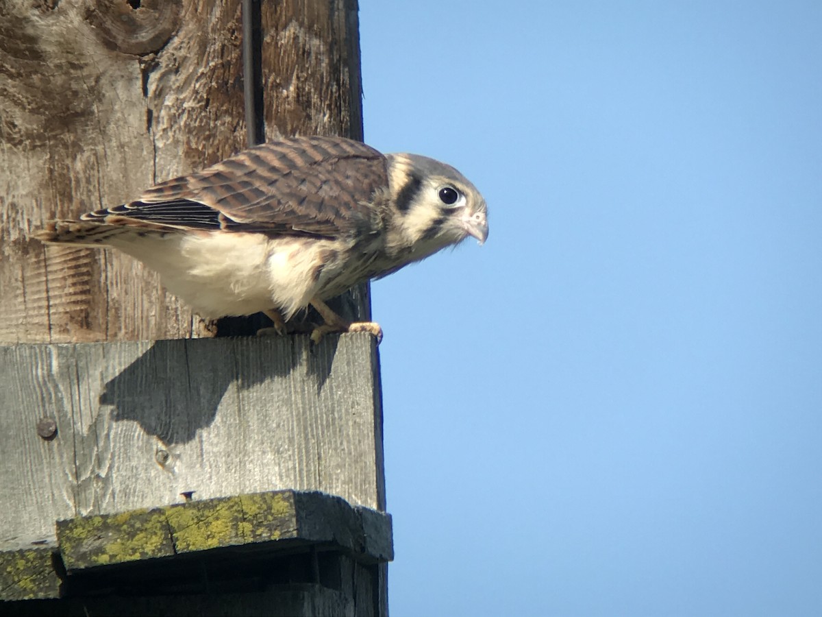 We have until August 11 to finish the remaining 47 blocks! - Wisconsin ...