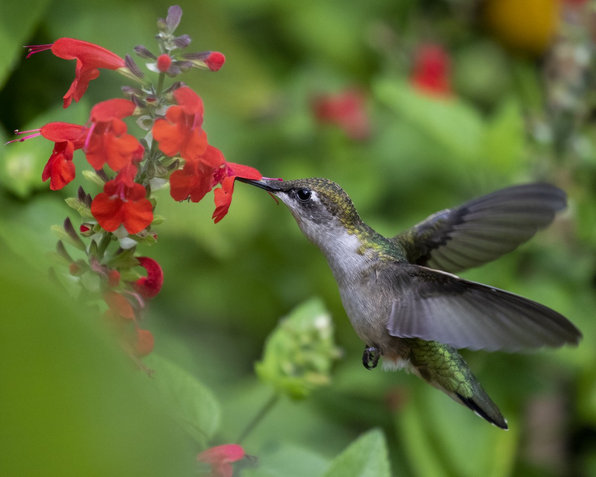 The very last data-quality step: Help us check Priority Block lists ...