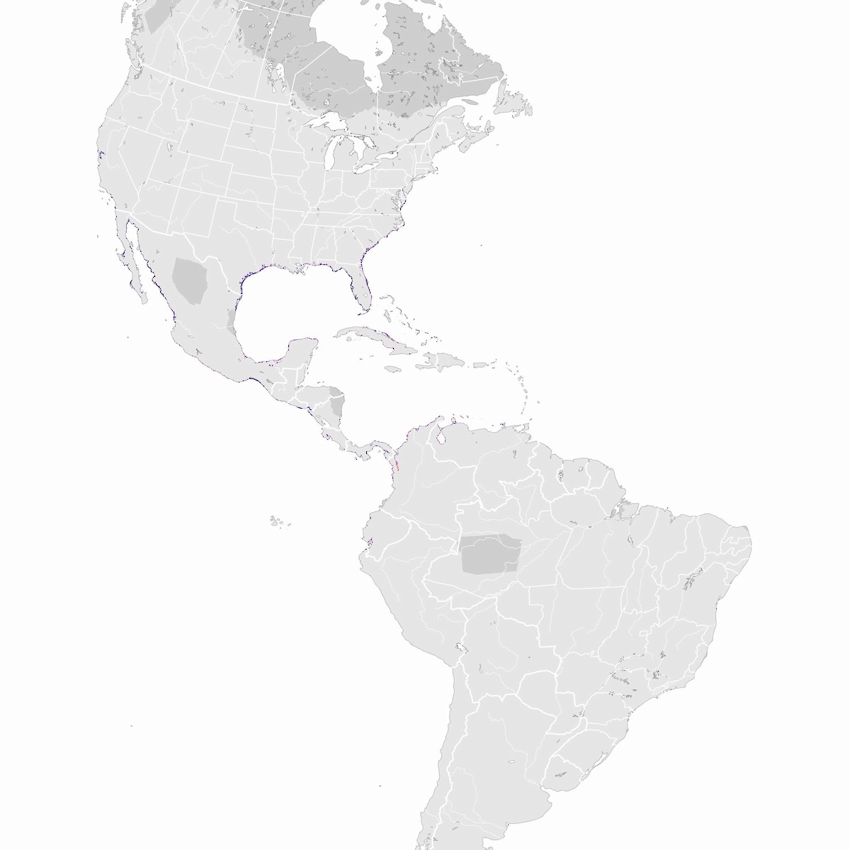 Willet - Abundance animation - eBird Status and Trends