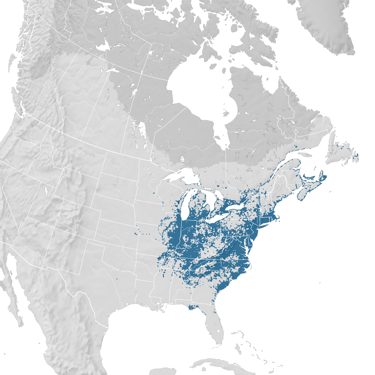 American Black Duck - Range map: Non-breeding - eBird Status and Trends