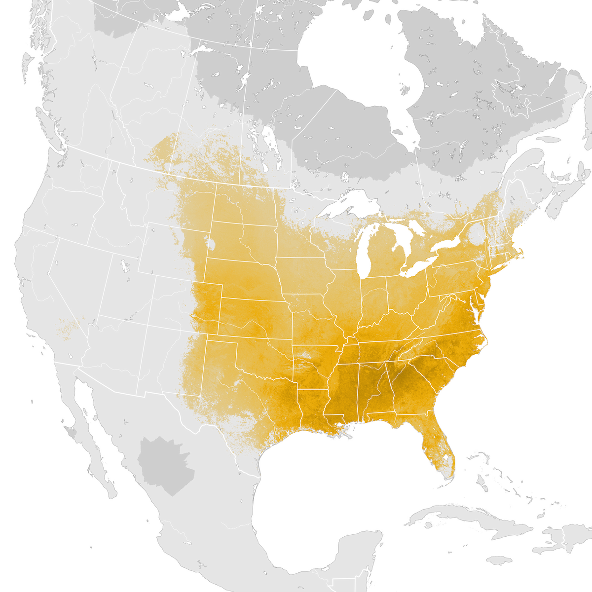 Brown Thrasher - Abundance map: Post-breeding migration - eBird Status ...