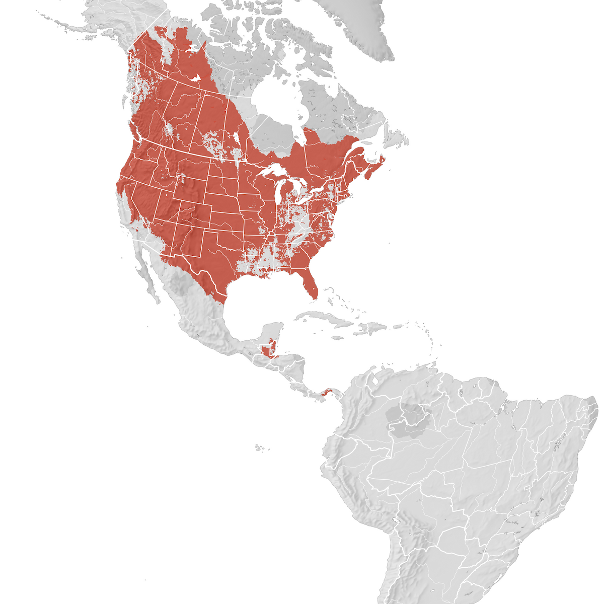 Common Nighthawk - Range map: Breeding - eBird Status and Trends