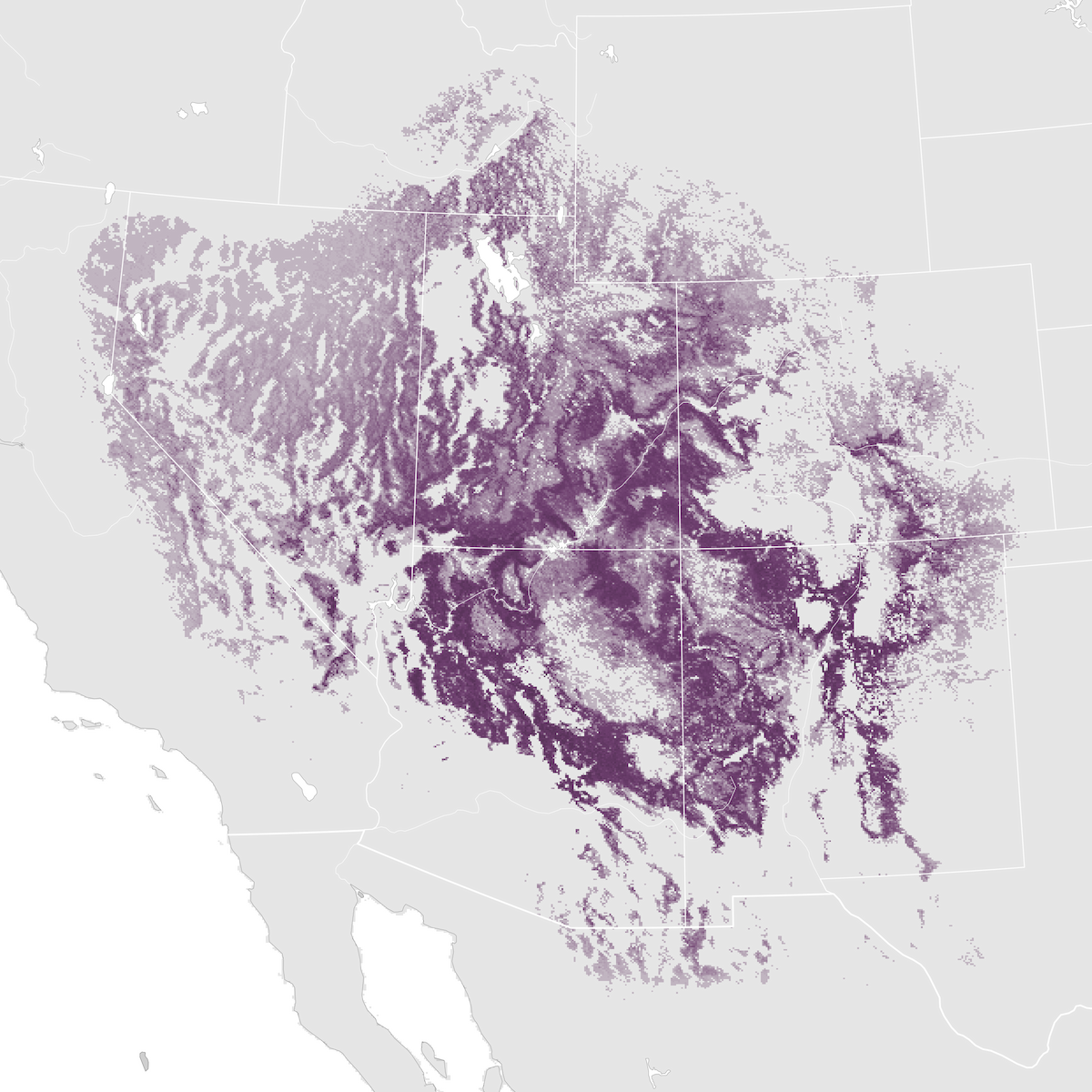 Juniper Titmouse - Abundance map - eBird Status and Trends