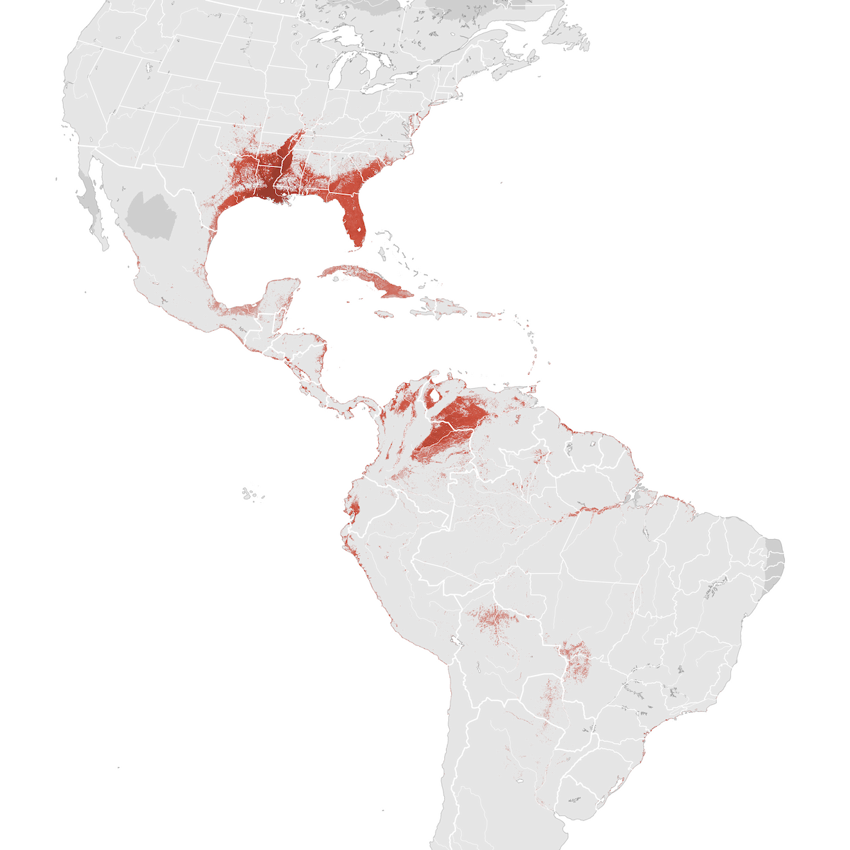 Little Blue Heron - Abundance map: Breeding - eBird Status and Trends