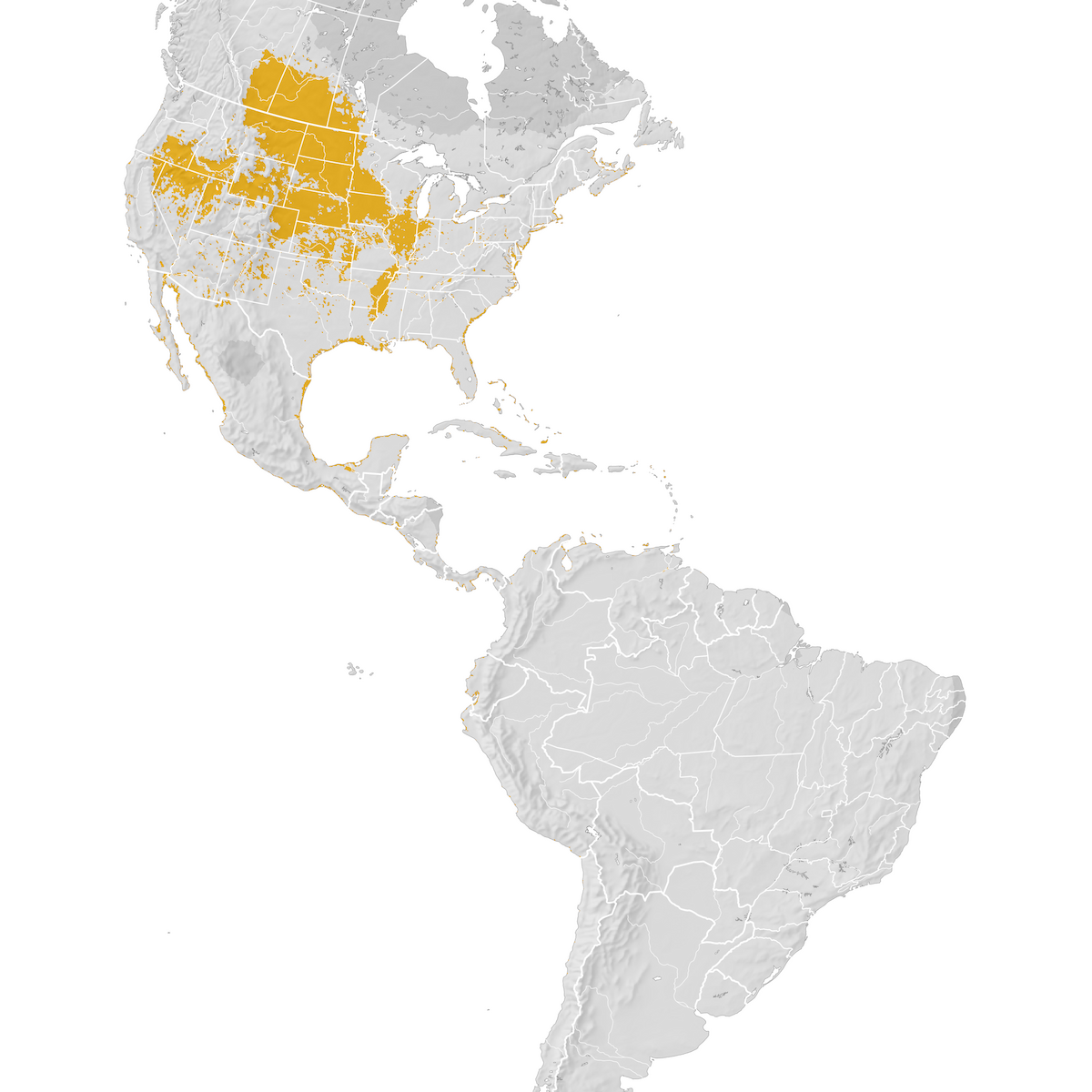 Willet - Range map: Pre-breeding migration - eBird Status and Trends