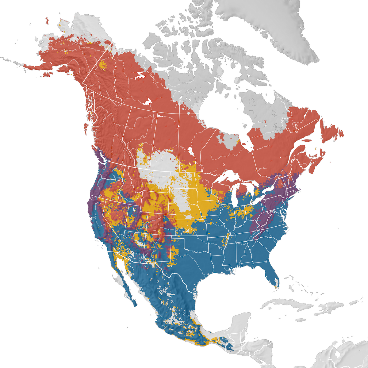 Hermit Thrush Range