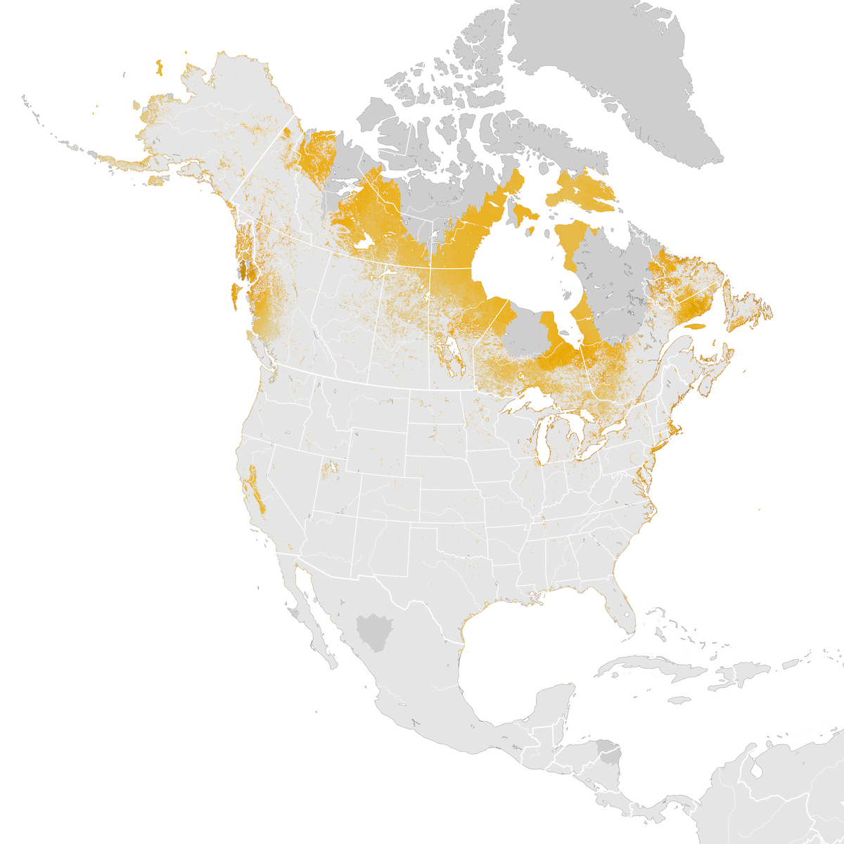 Herring Gull - Abundance map: Post-breeding migration - eBird Status ...