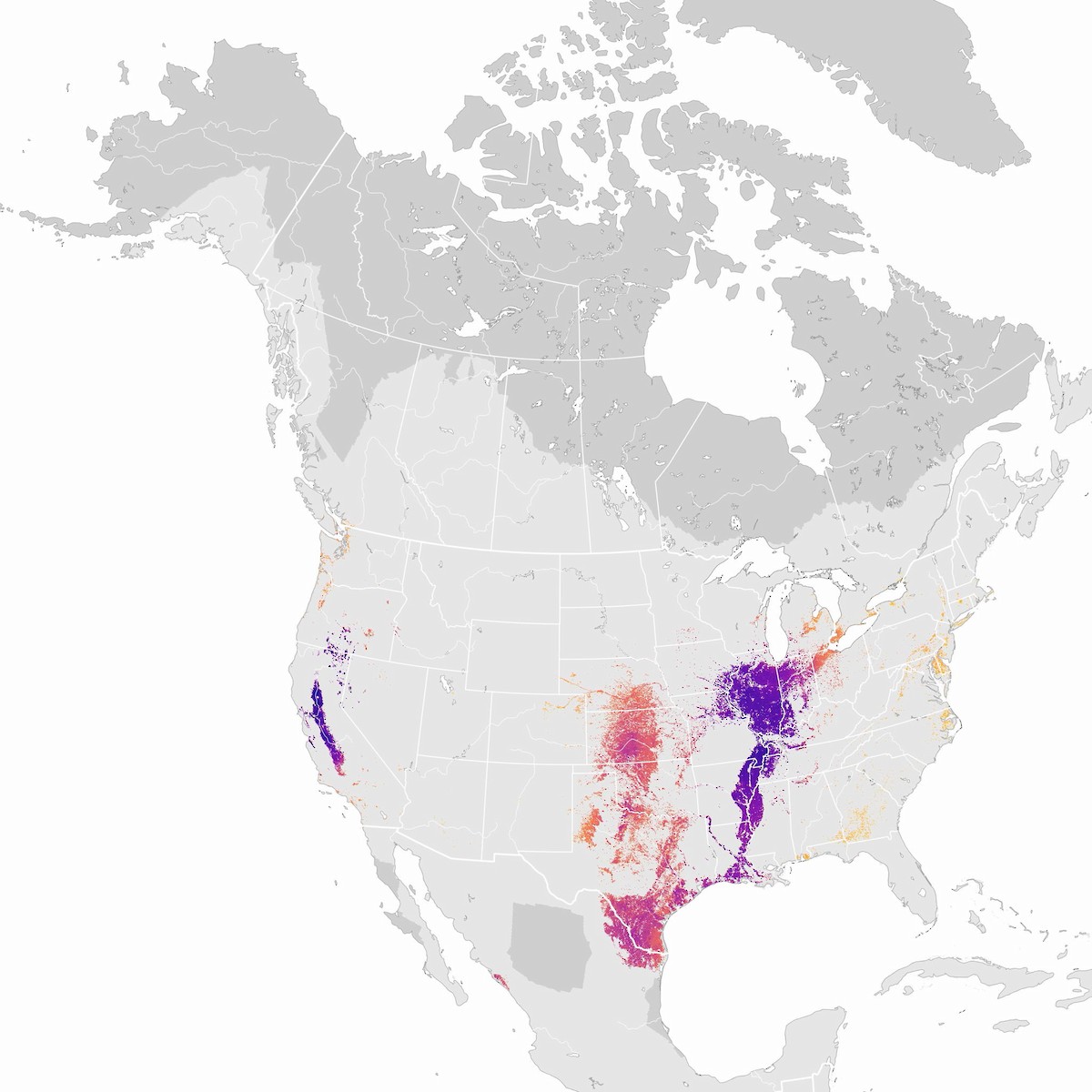 Greater White-fronted Goose - Abundance animation - eBird Status and Trends