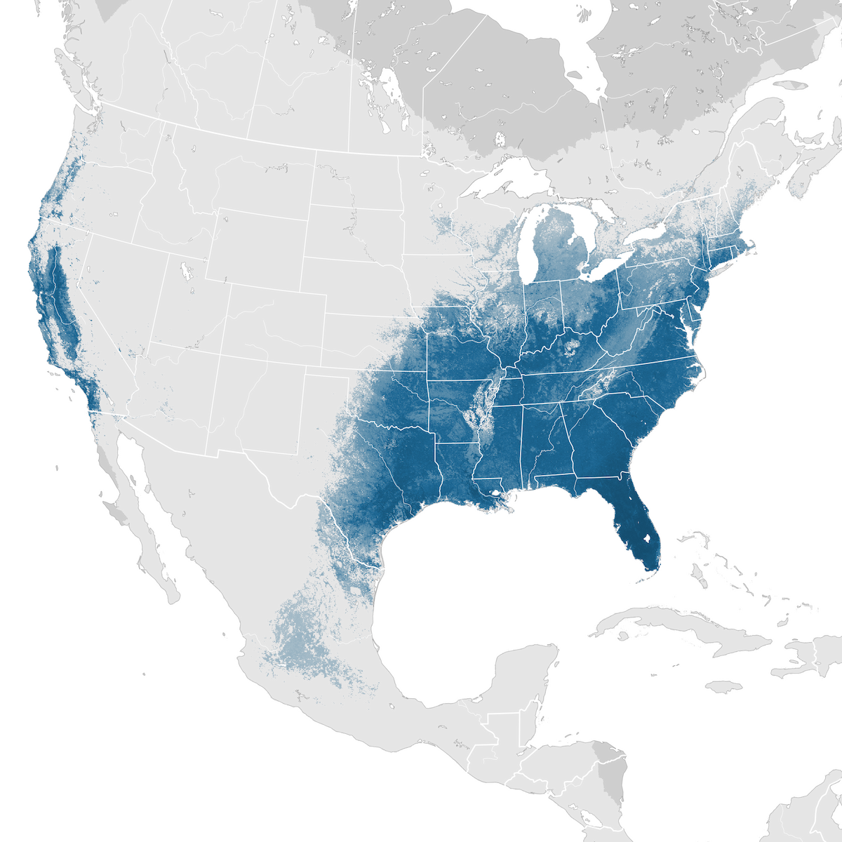 Red-shouldered Hawk - Abundance map: Non-breeding - eBird Status and Trends