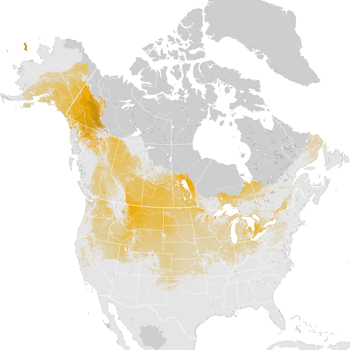 Rough-legged Hawk - Abundance map: Post-breeding migration - eBird ...