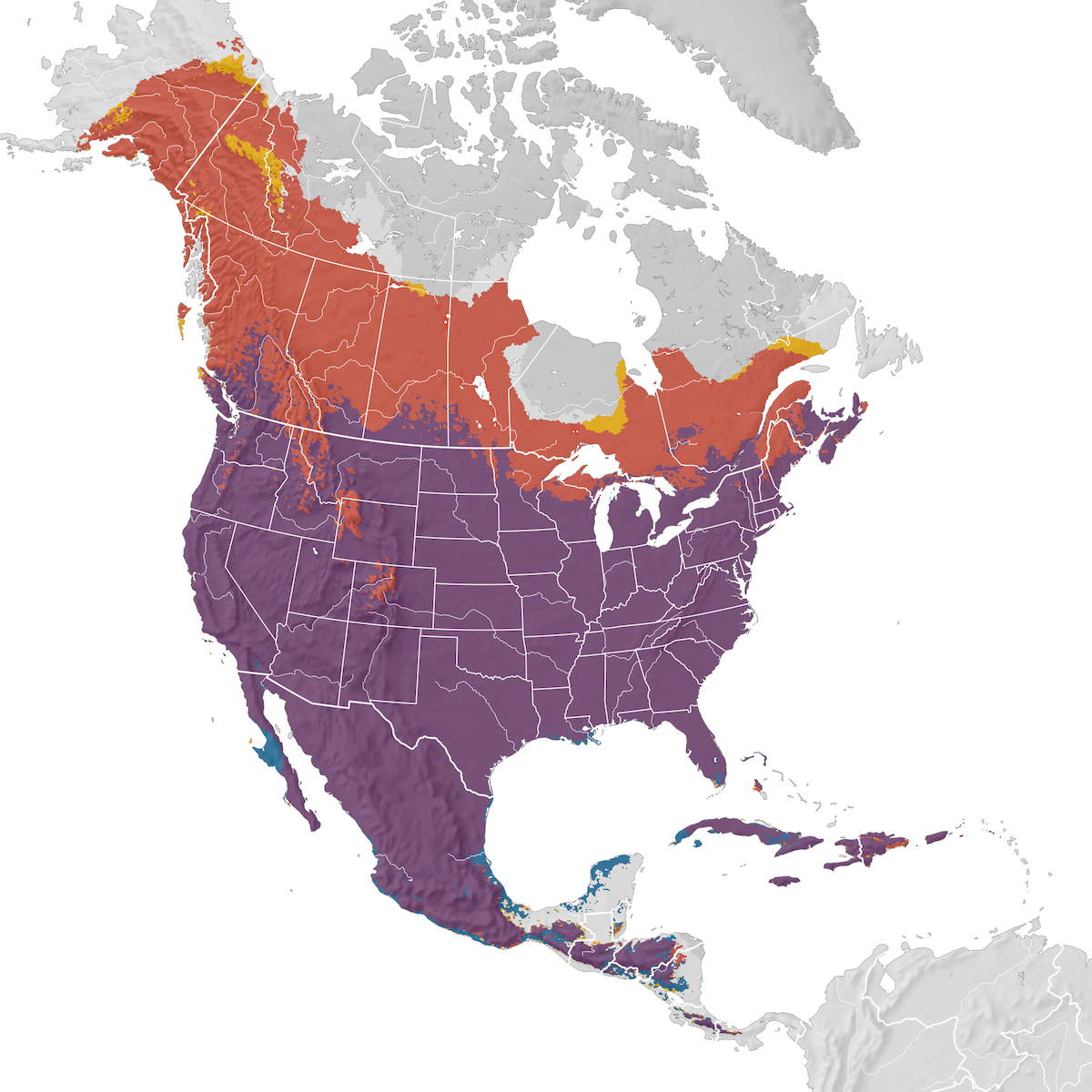 Redtailed Hawk Range Map Ebird Status And Trends