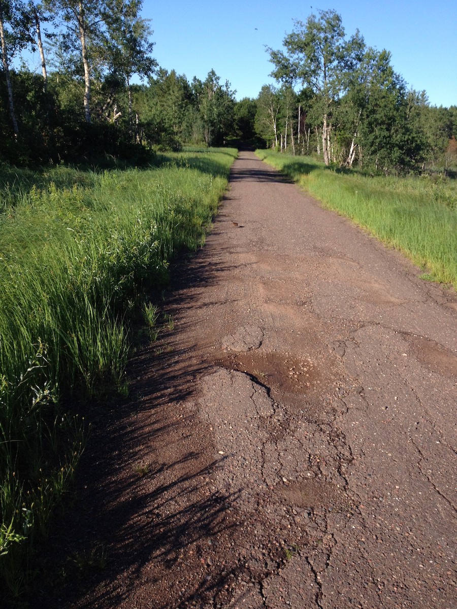 eBird Checklist - 22 Jun 2012 - Crex Meadows SWA - 86 species