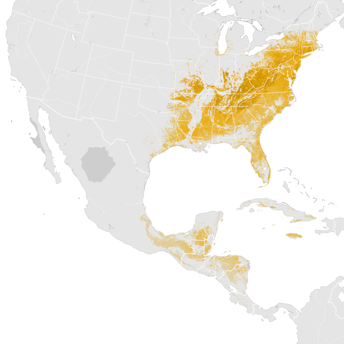 Worm-eating Warbler - Abundance map: Pre-breeding migration - eBird ...