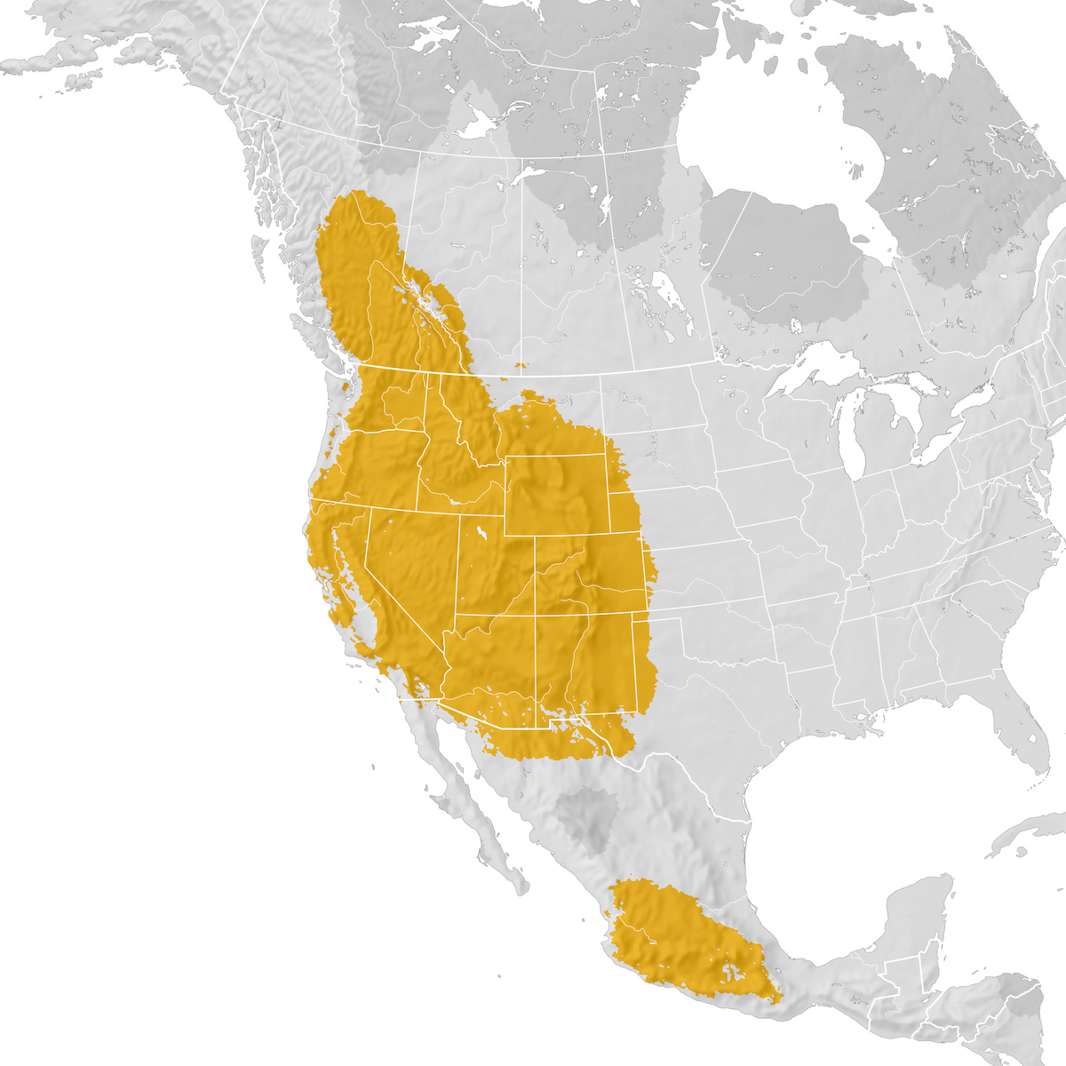 Dusky Flycatcher - Range map: Post-breeding migration - eBird Status ...