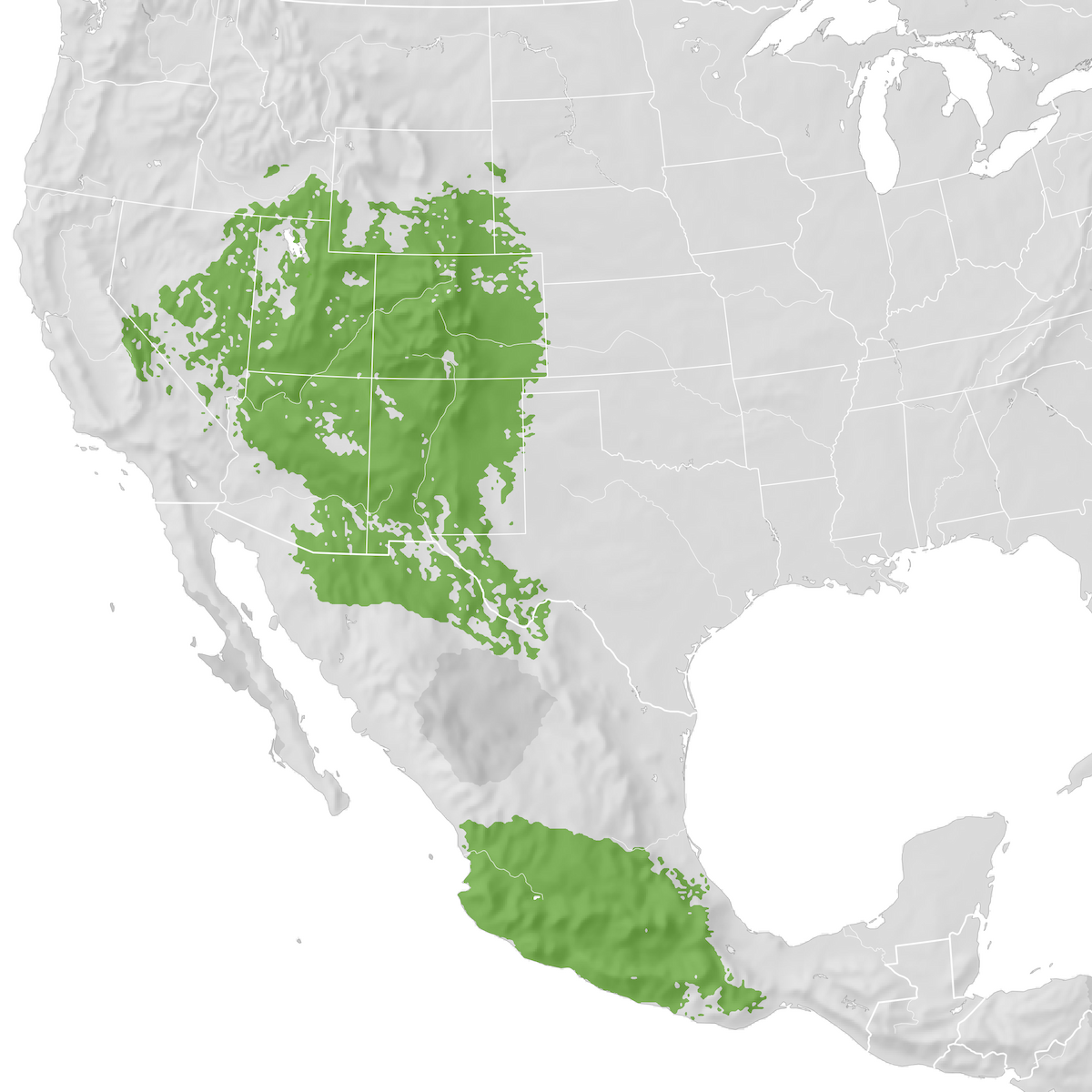 Virginia's Warbler - Range map: Pre-breeding migration - eBird Status ...