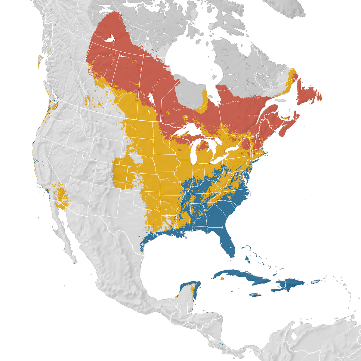 Palm Warbler - Range map - eBird Status and Trends