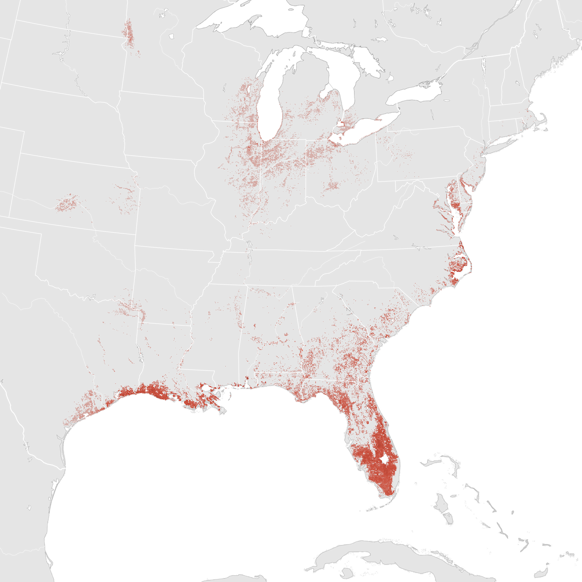King Rail - Abundance map: Breeding - eBird Status and Trends