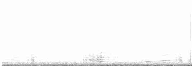 Illustrated Checklist - Squantum--Nickerson Rock Park, Norfolk County ...