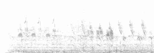 ML235457 - Common Redpoll (rostrata/islandica) - Macaulay Library