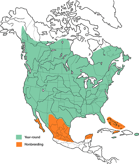 European Starling Map