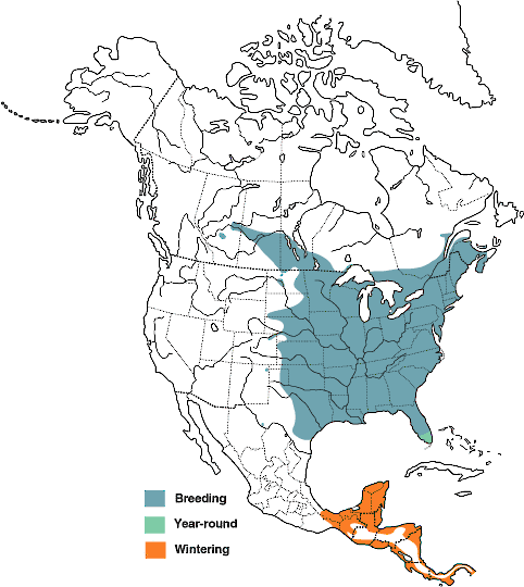 Great Crested Flycatcher Distribution