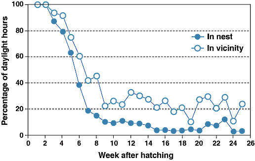 California Condor Numbers