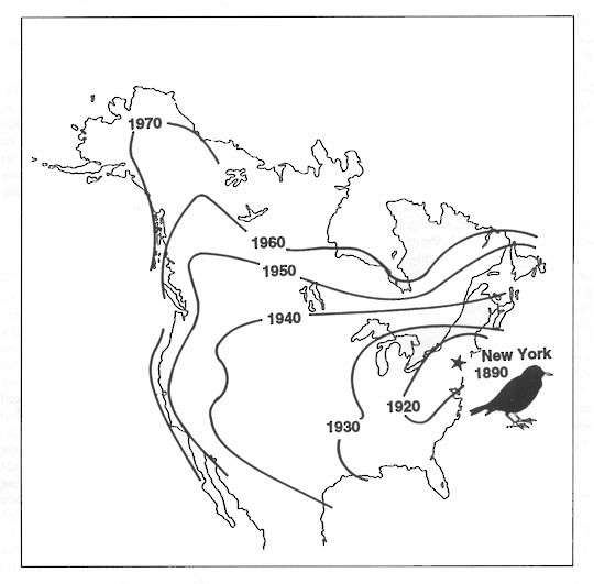 European Starling Map