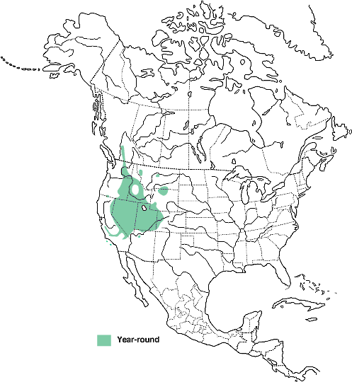 Chukar Map