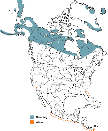 Where Do Ravens Live Map