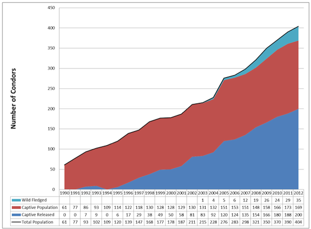 California Condor Numbers