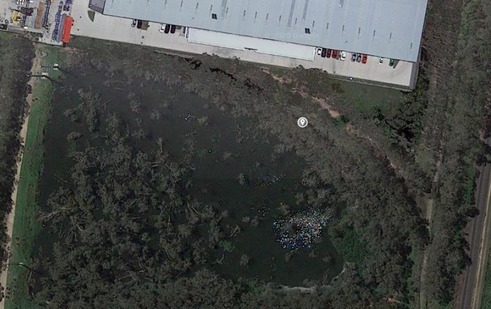 eBird Checklist - 14 Oct 2020 - Sandy Camp Road Wetlands - 40 species