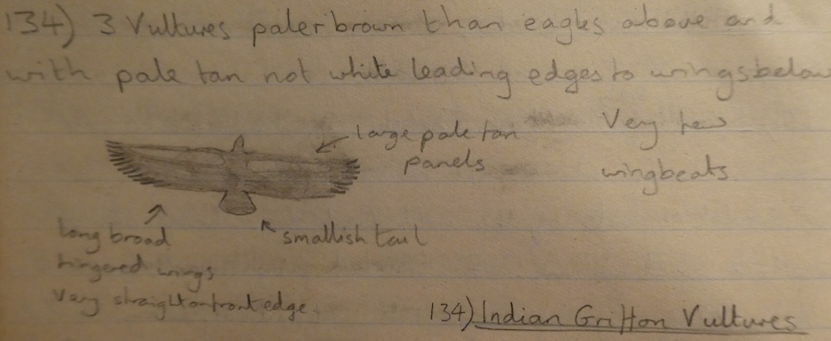 eBird Checklist - 27 Jan 1988 - Bagmati River and Chobar Gorge - 32 species