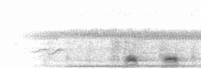 Andaman Crake | Bubo Birding