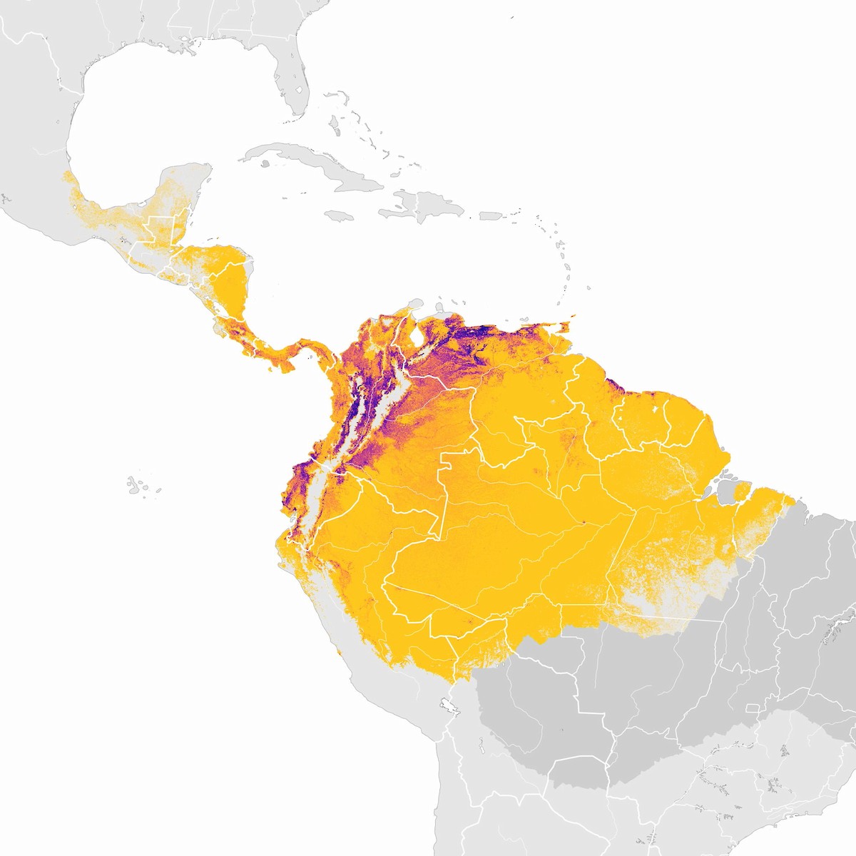 Blue-gray Tanager - Abundance animation - eBird Status and Trends