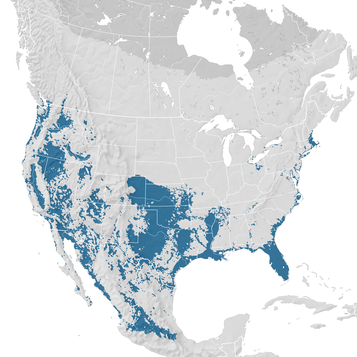 Marsh Wren - Range map: Non-breeding - eBird Status and Trends