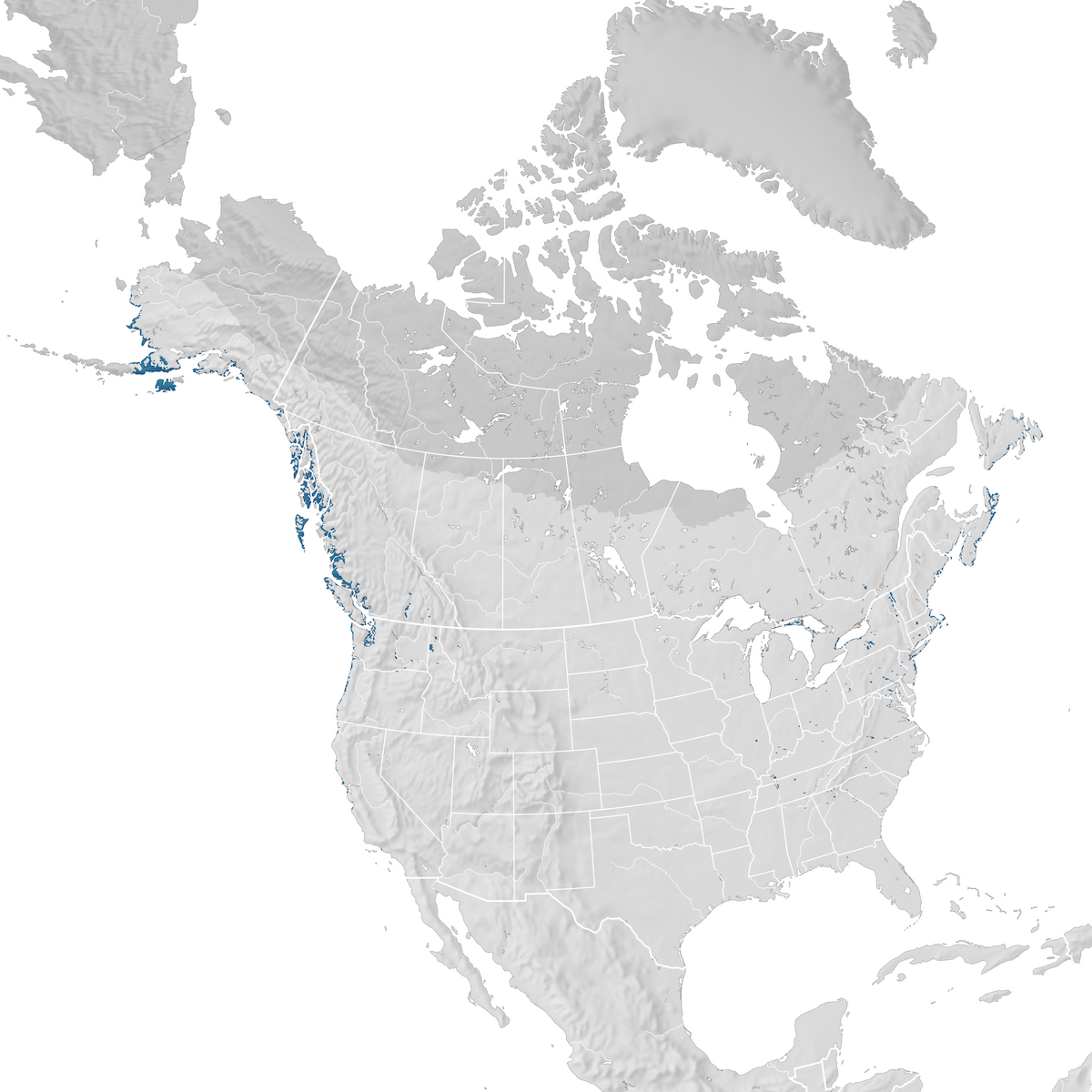 Red-necked Grebe - Range map: Non-breeding - eBird Status and Trends