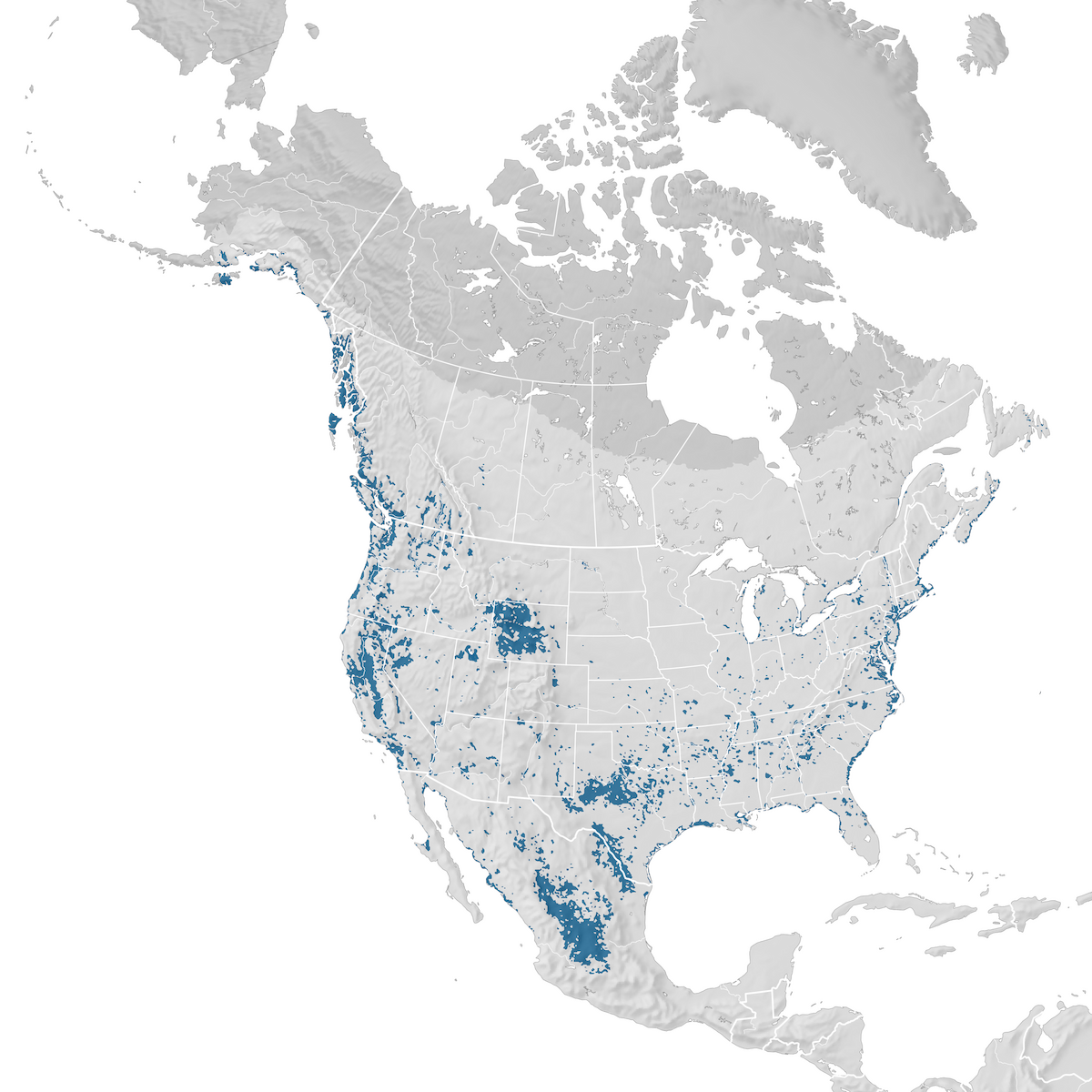 Bufflehead - Range map: Non-breeding - eBird Status and Trends
