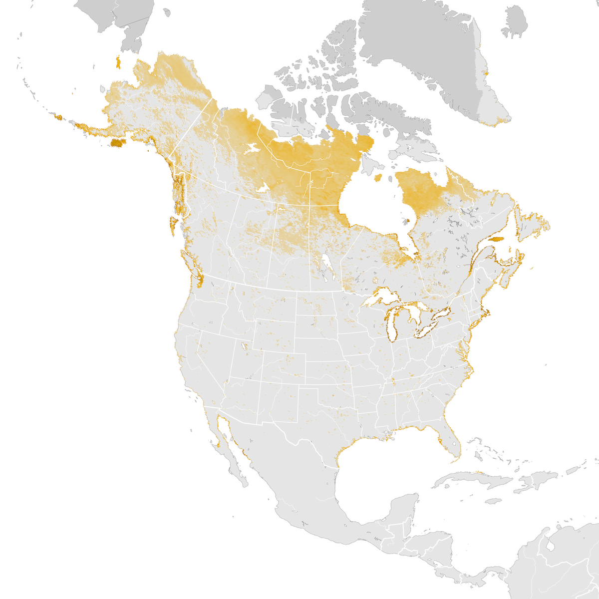 Red-breasted Merganser - Abundance map: Post-breeding migration - eBird ...