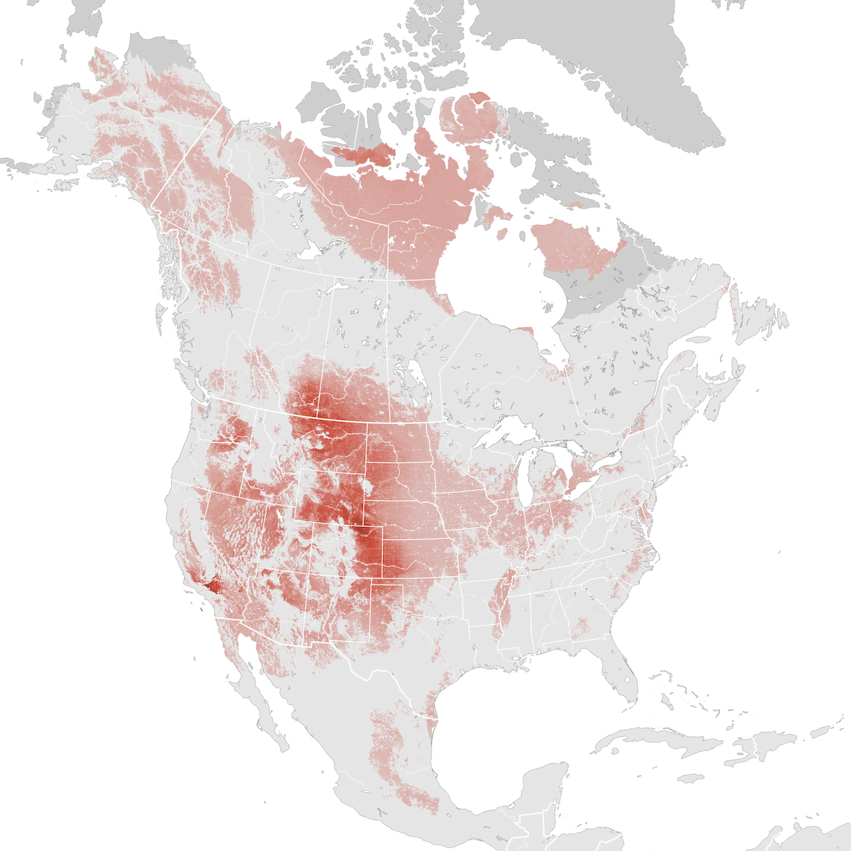 Horned Lark - Abundance map: Breeding - eBird Status and Trends