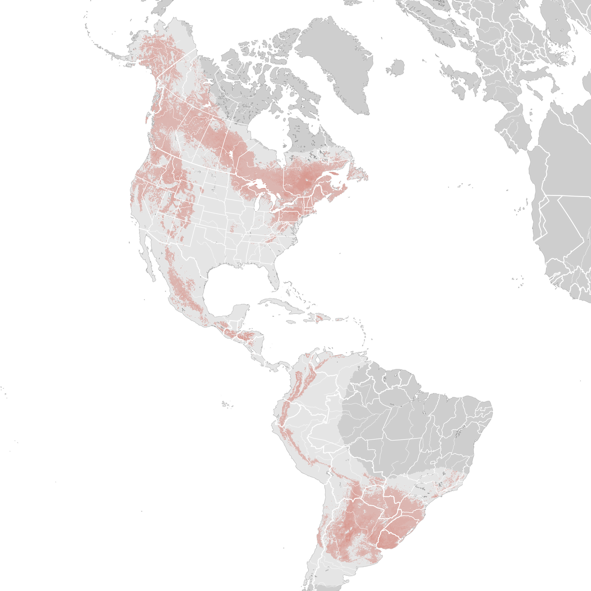 Sharp-shinned Hawk - Abundance map: Breeding - eBird Status and Trends