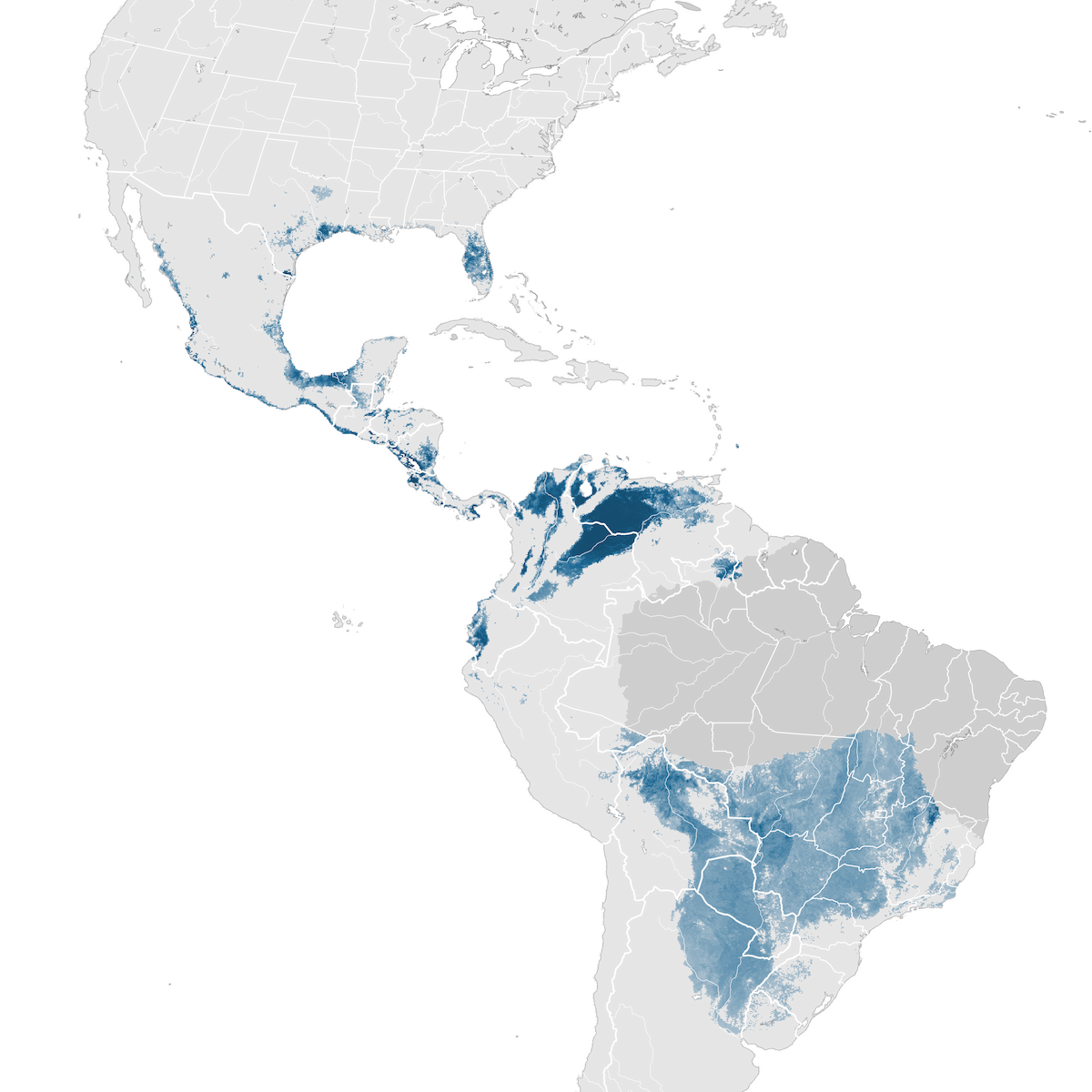 Black-bellied Whistling-Duck - Abundance map: Non-breeding - eBird ...