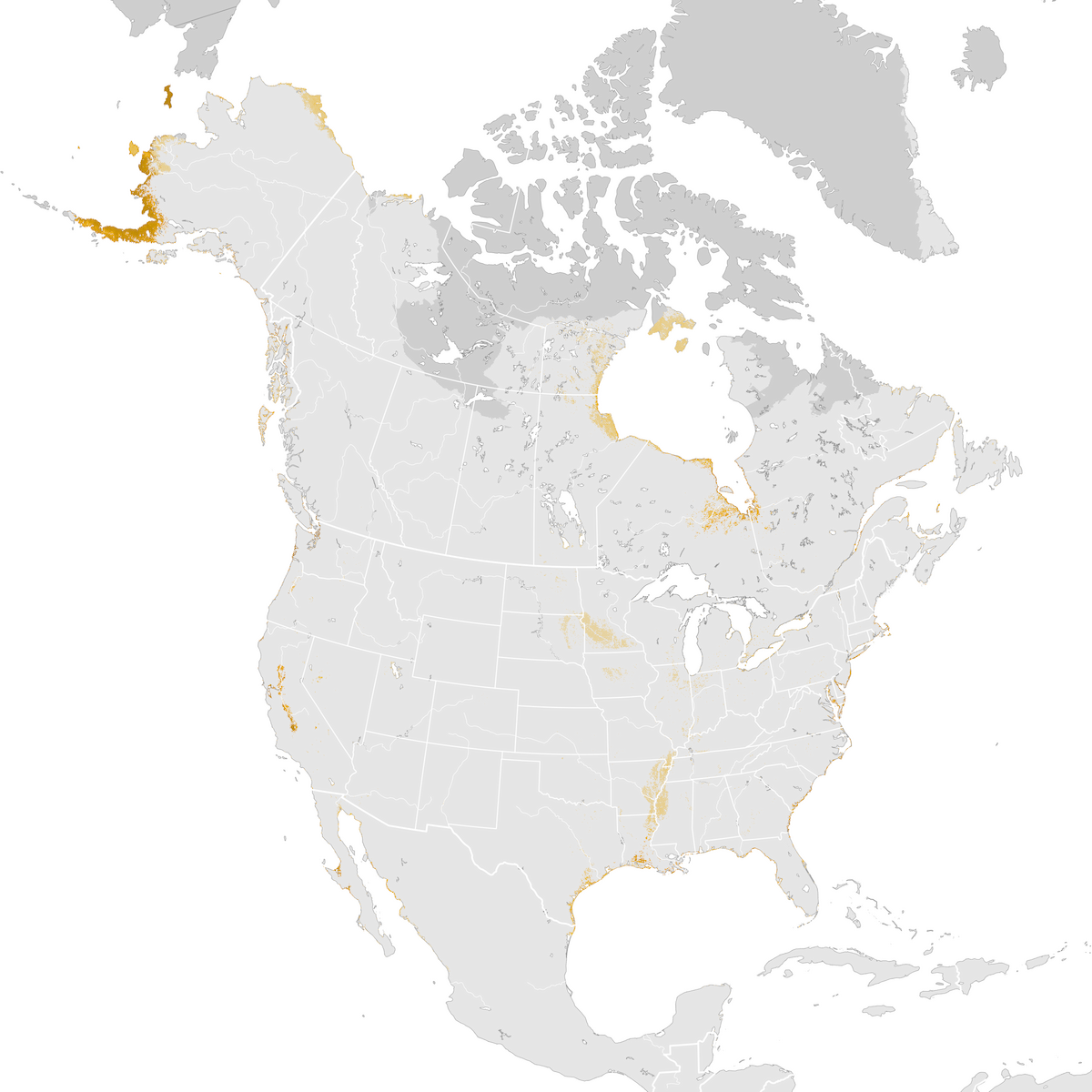 Dunlin - Abundance map: Post-breeding migration - eBird Status and Trends
